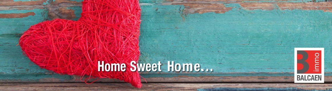 cropped-header.jpg - Immo Balcaen - Le Blog